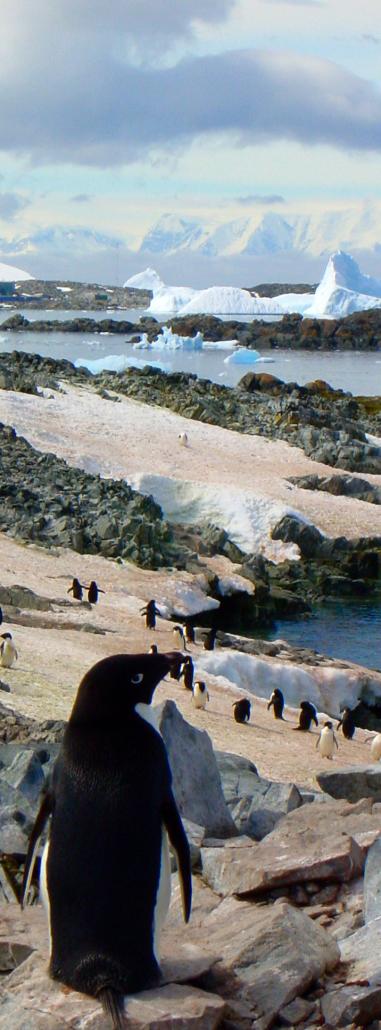 Mousing Around: Mousercise